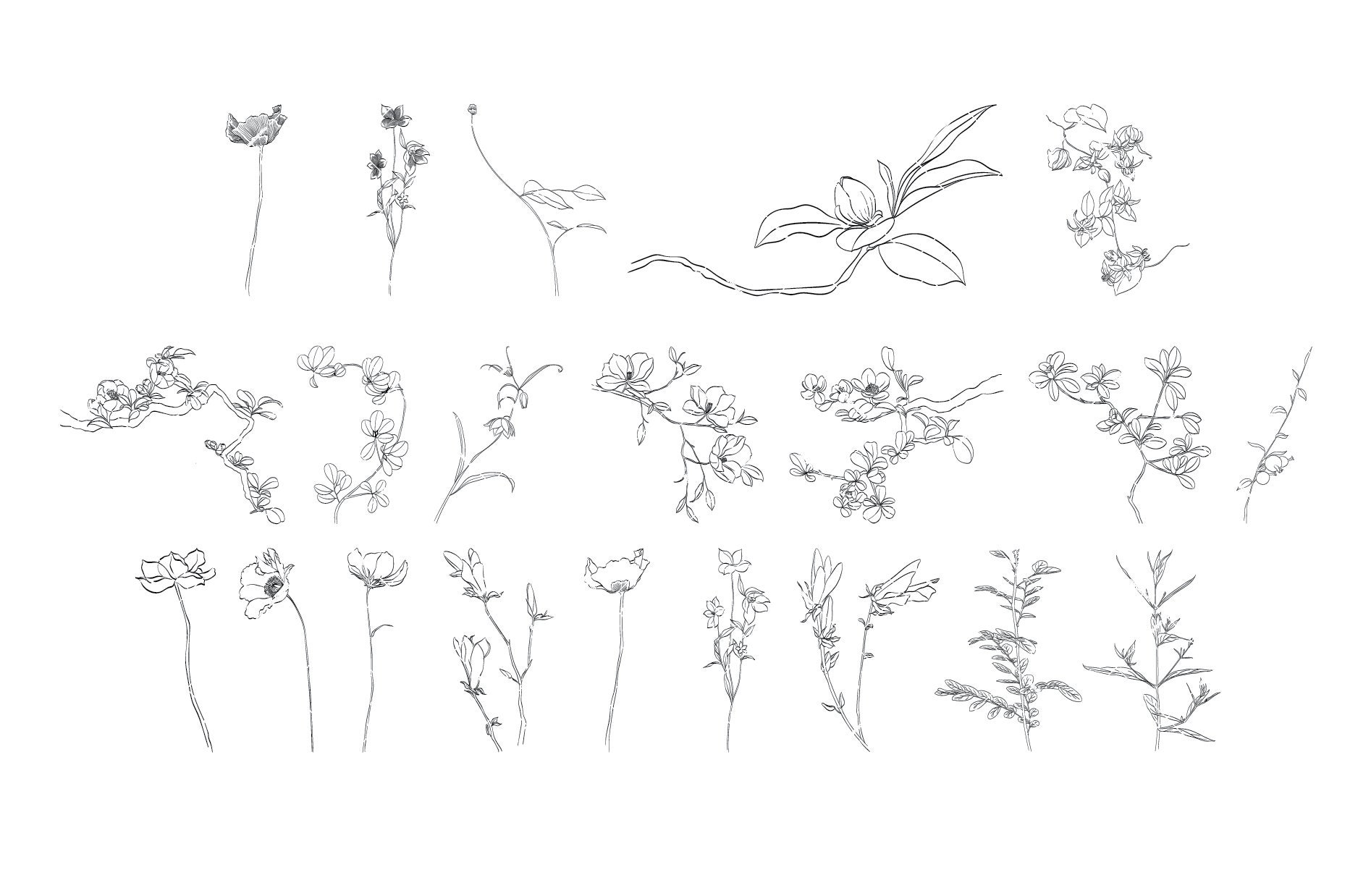 62 Hand Drawn Flower Elements Digital Pack. Hand Draw Clip Art.svg, PNG ...