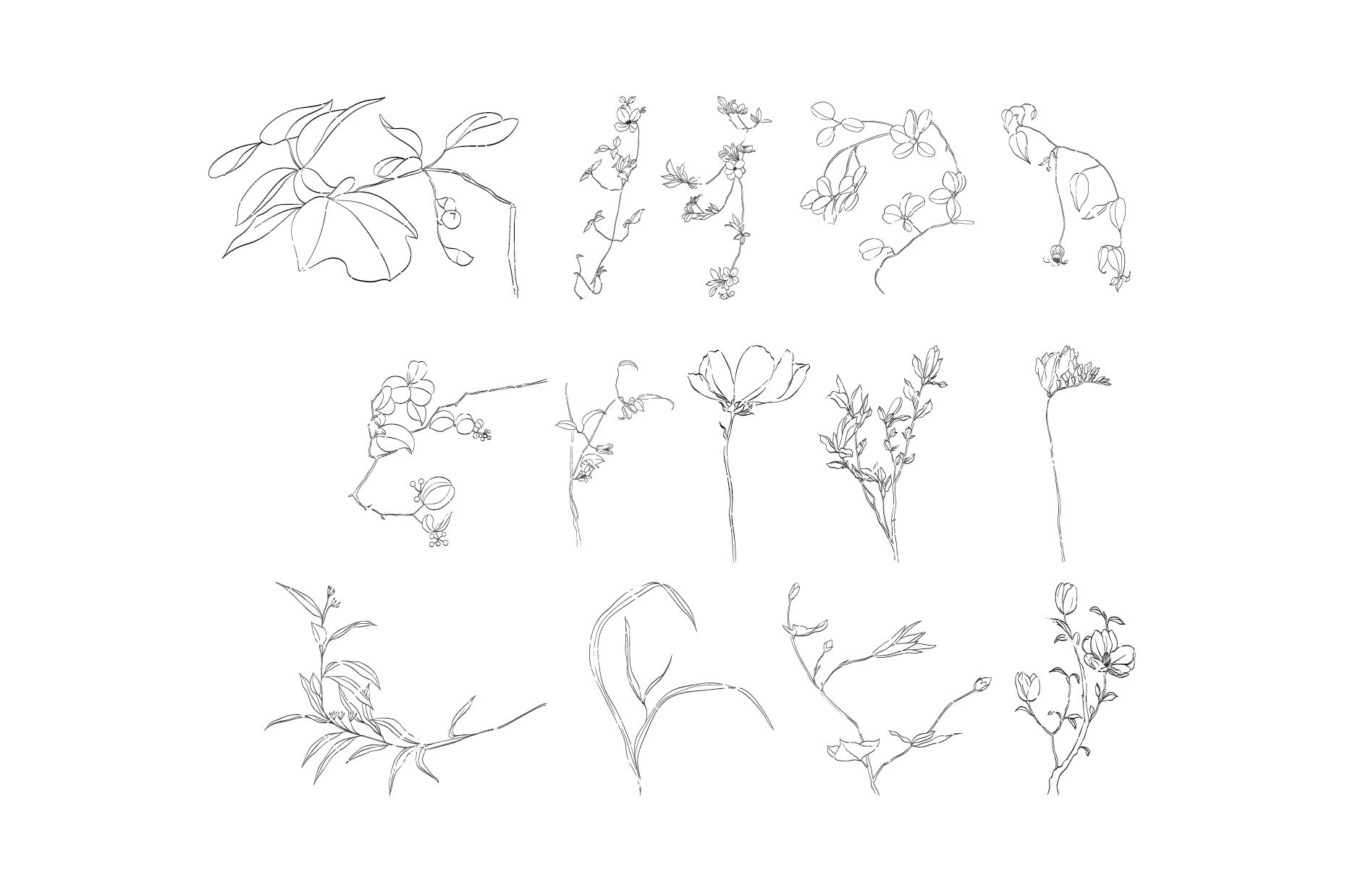 62 Hand Drawn Flower Elements Digital Pack. Hand Draw Clip Art.svg, PNG ...