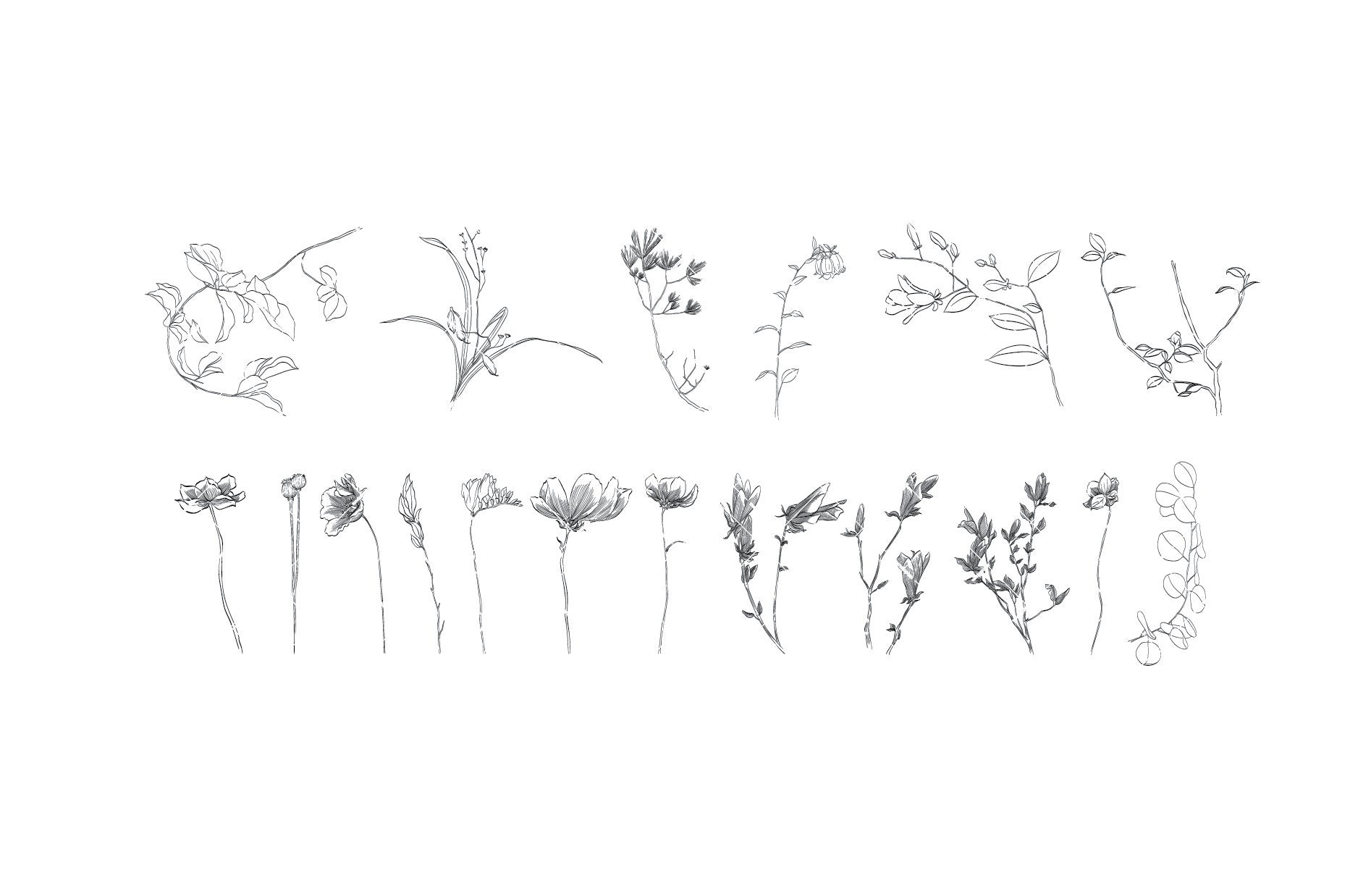 62 Hand Drawn Flower Elements Digital Pack. Hand Draw Clip Art.svg, PNG ...