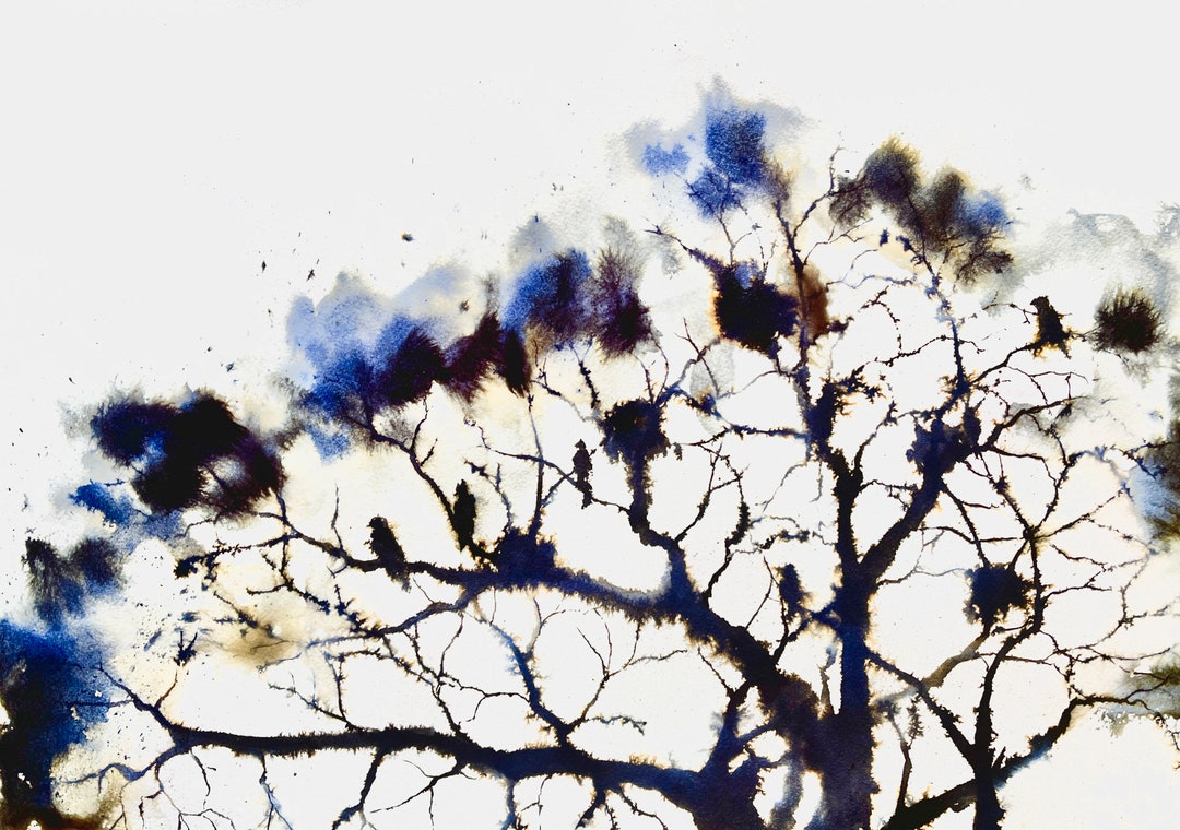 THE ROOKERY - Rooks in Ink and Watercolour - Limited Edition Print ...