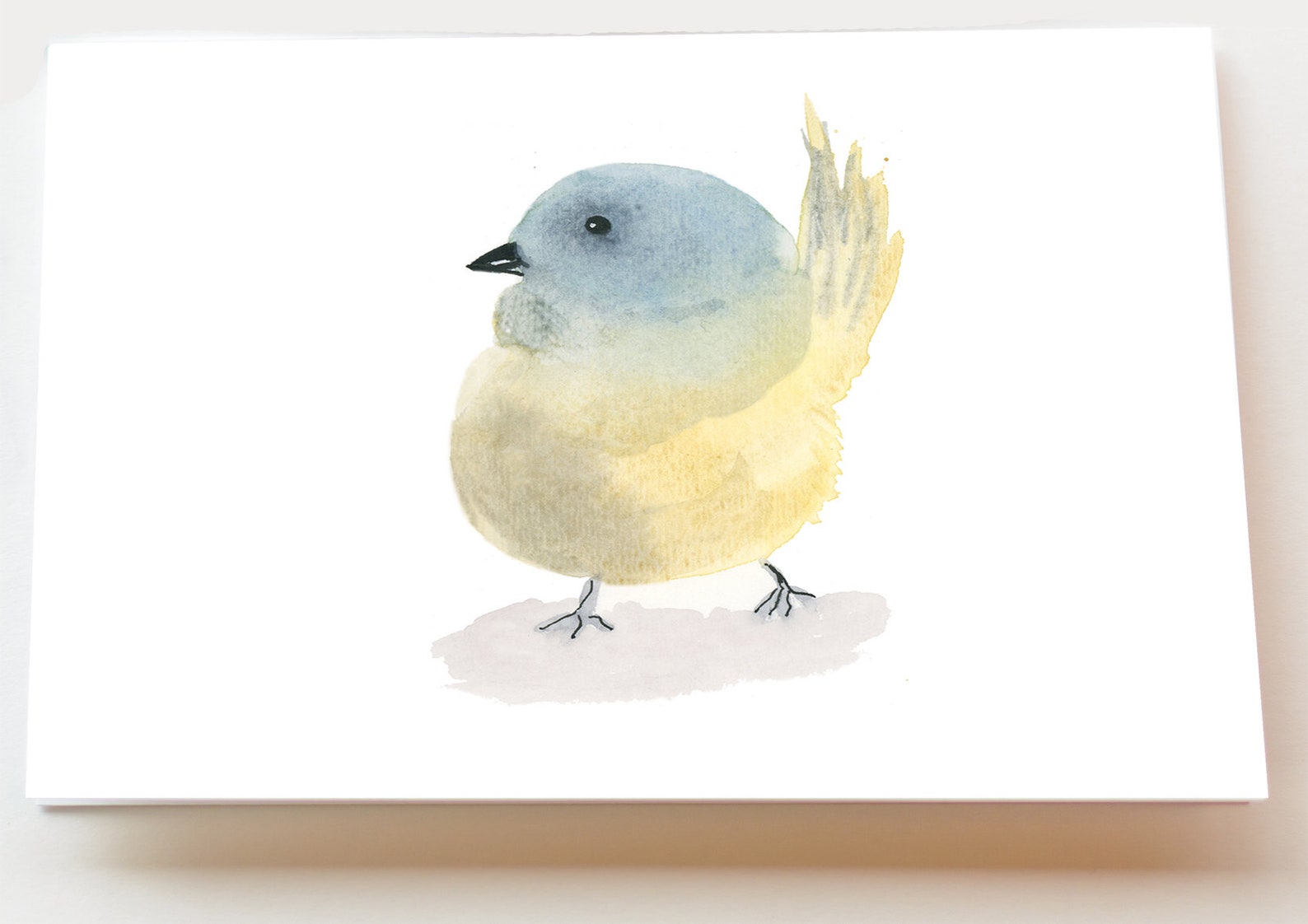 Custom Watercolor Birds Cards Variety Set, Watercolor Bird Note Cards ...