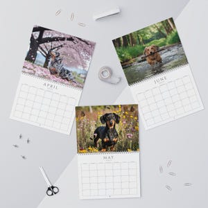 2025 Dachshund Calendar Custom Dog Wall Calendar Custom 12 Month Desk ...