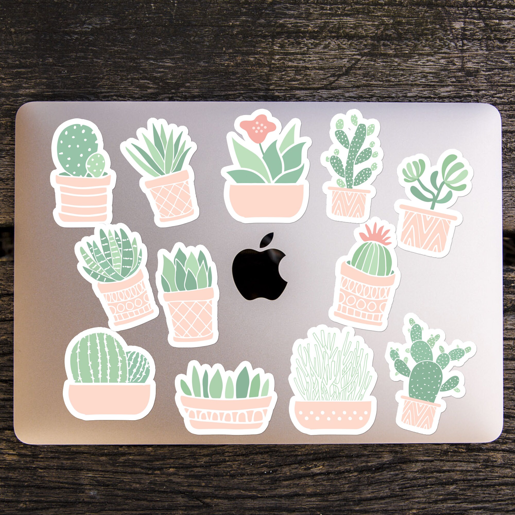 Cacti & Succulents Sticker Sheet Cactus Sticker Pack Succulent | Etsy