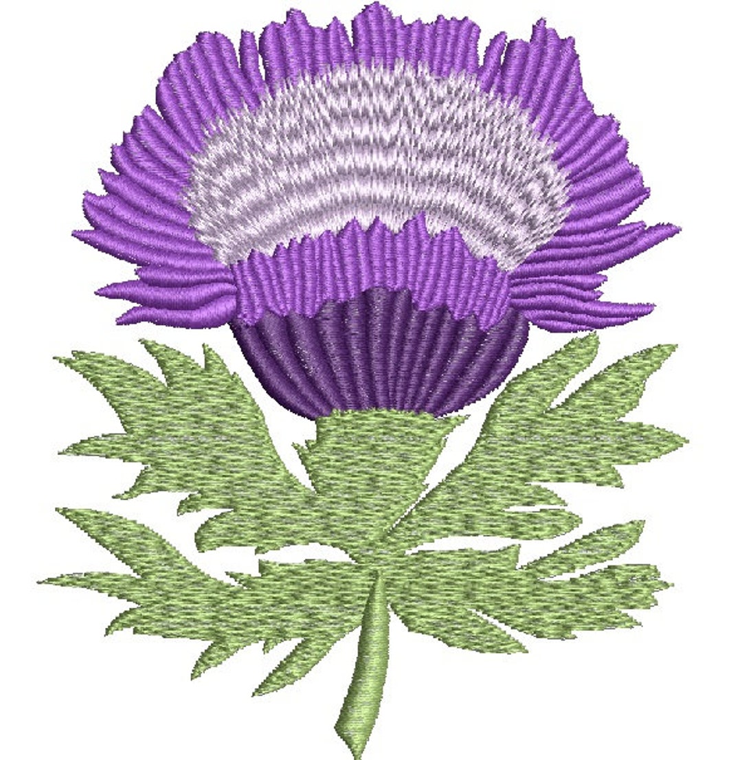 Scotch Thistle Flower Scottish Thistle Machine Embroidery Design ...