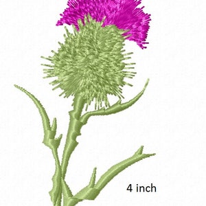 Thistle Floral Emblem Scotland / Machine Embroidery Design/ Letters Not ...