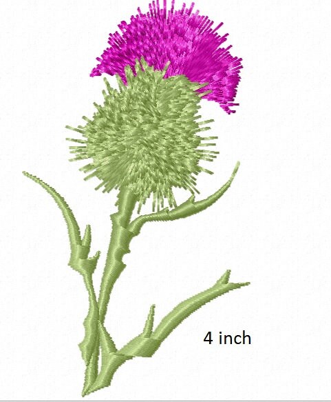 Thistle Floral Emblem Scotland / machine embroidery design/ | Etsy