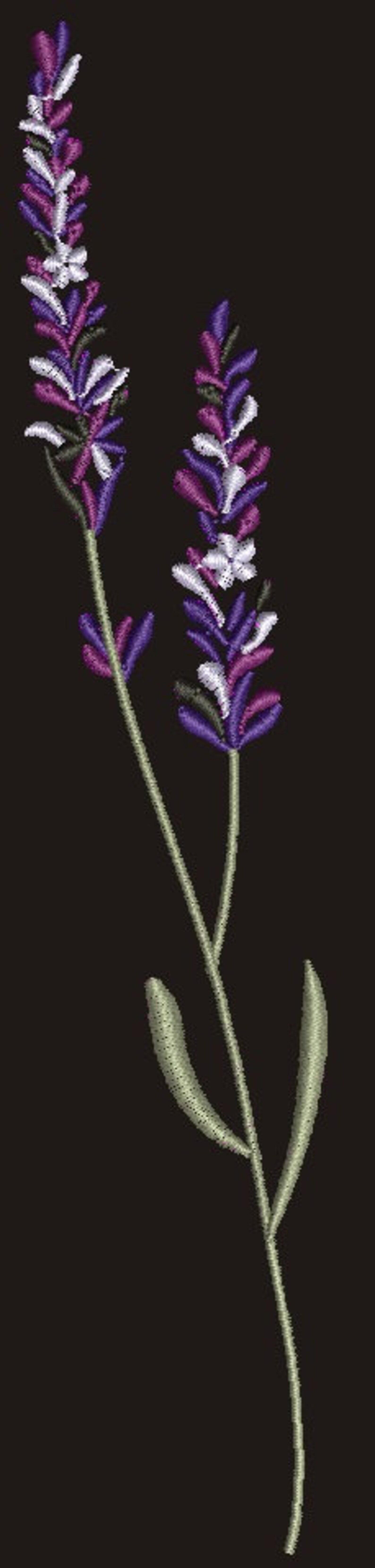 Lavender Machine Embroidery Design | Etsy