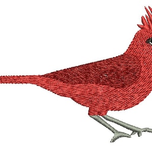 Northern Cardinal Machine Embroidery Design, Instantly Download - Etsy
