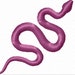 Snake Machine Embroidery Design, Instantly Download - Etsy
