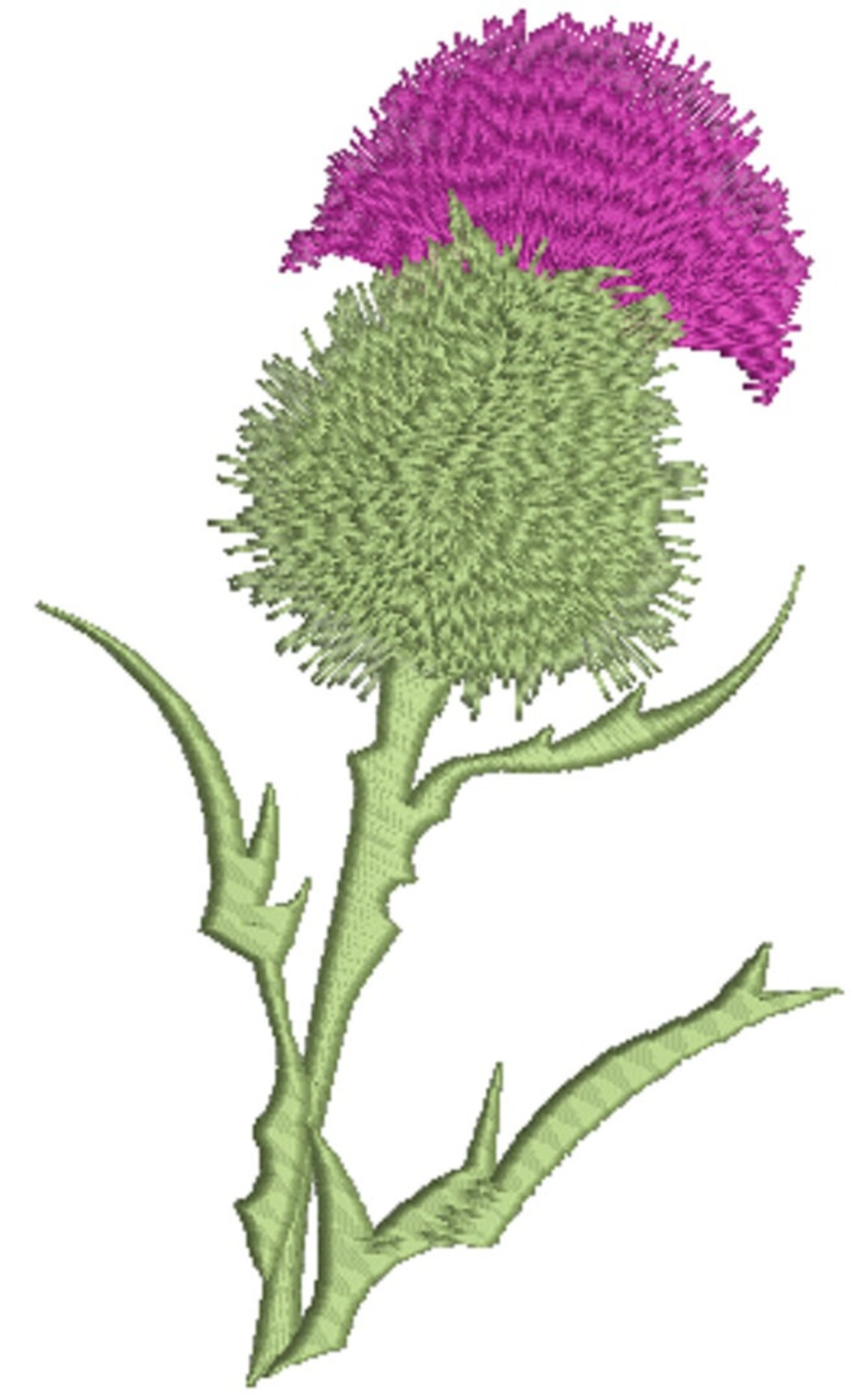 Thistle Floral Emblem Scotland / Machine Embroidery Design/ | Etsy