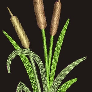 Cattails Machine Embroidery Design - Etsy