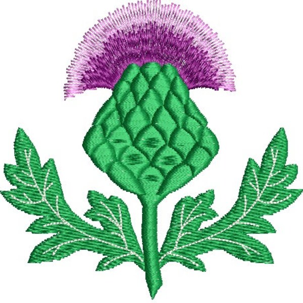 Thistle Embroidery Pattern - Etsy
