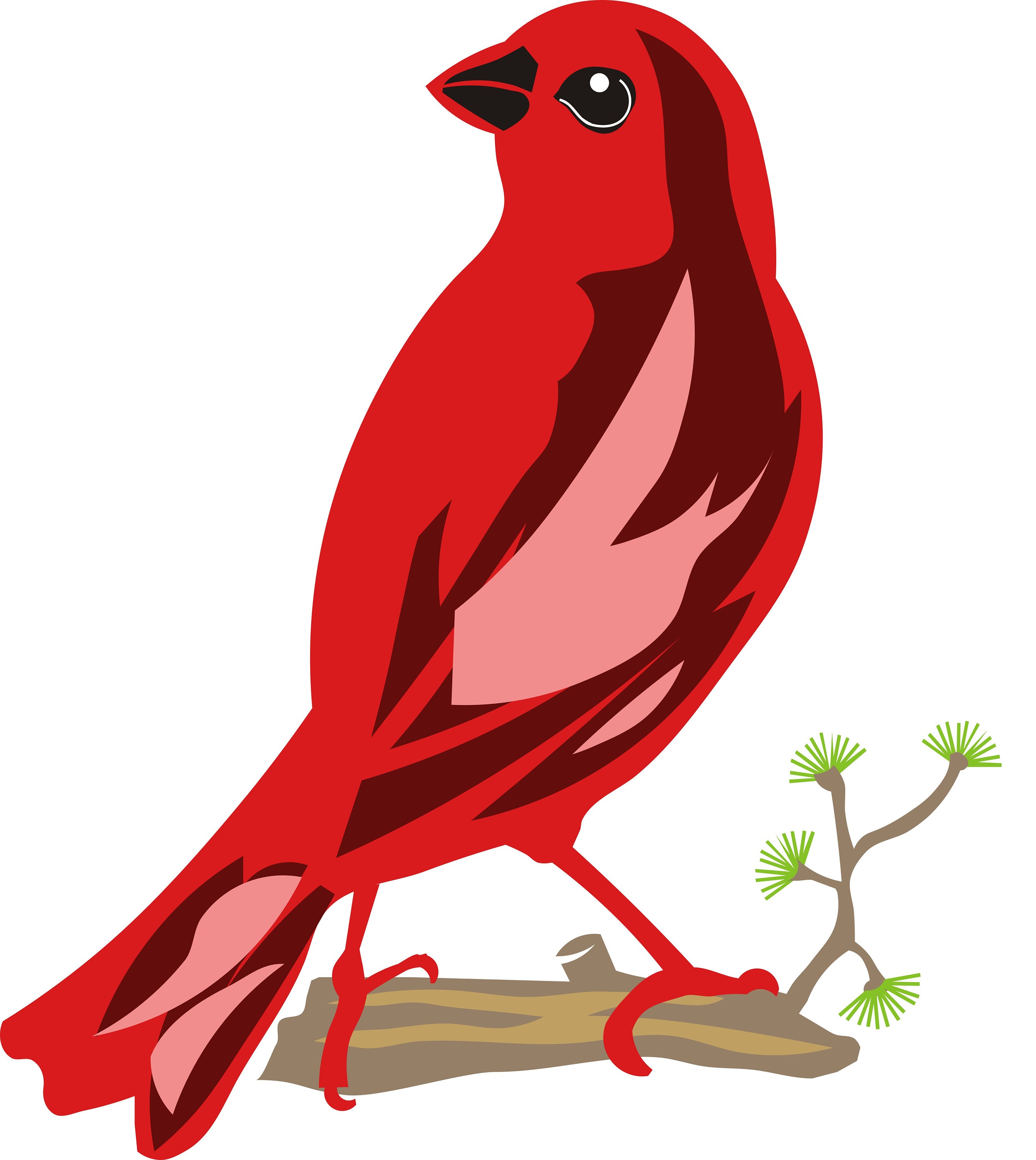 Red Bird SVG. Dxf PNG. EPS. Jpg Big Size 300 Dpi | Etsy