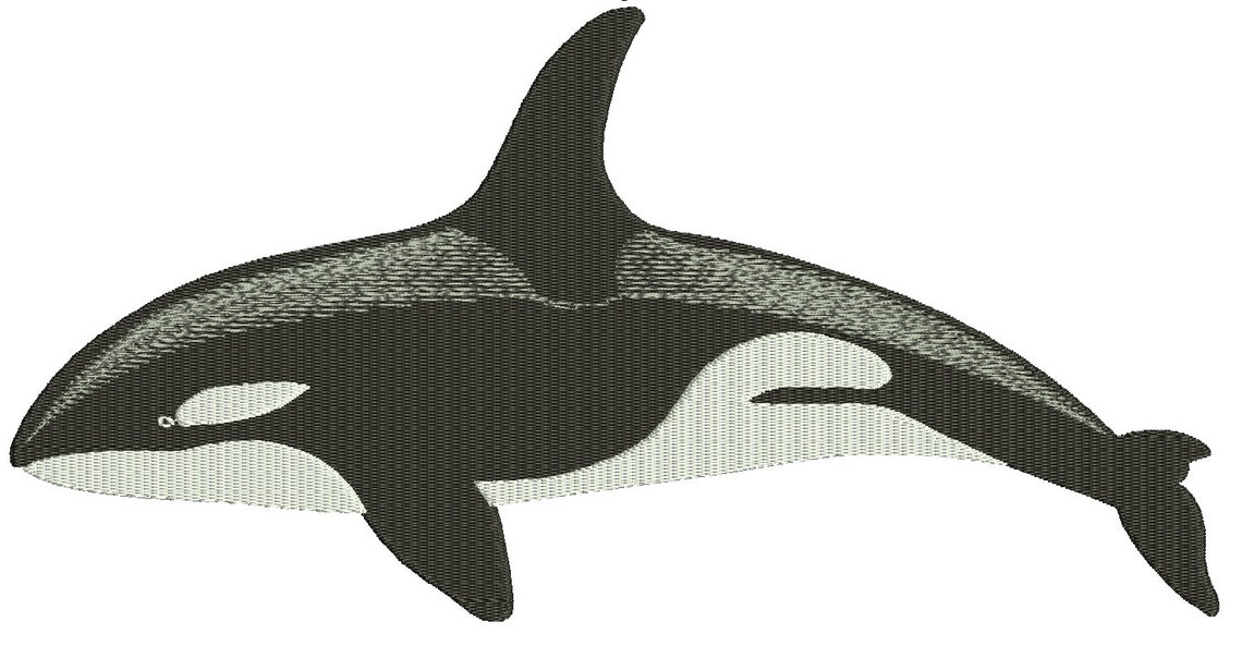 Killer Whale Machine Embroidery Designs Instantly Download | Etsy