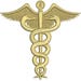 Caduceus Embroidery, Medical Pattern, Healthcare Design - Etsy