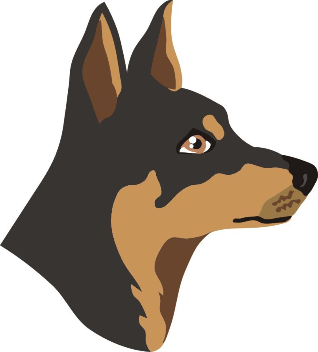 Australian Working Kelpie SVG. Dxf, PNG. EPS. Jpg Big Size 300 Dpi - Etsy
