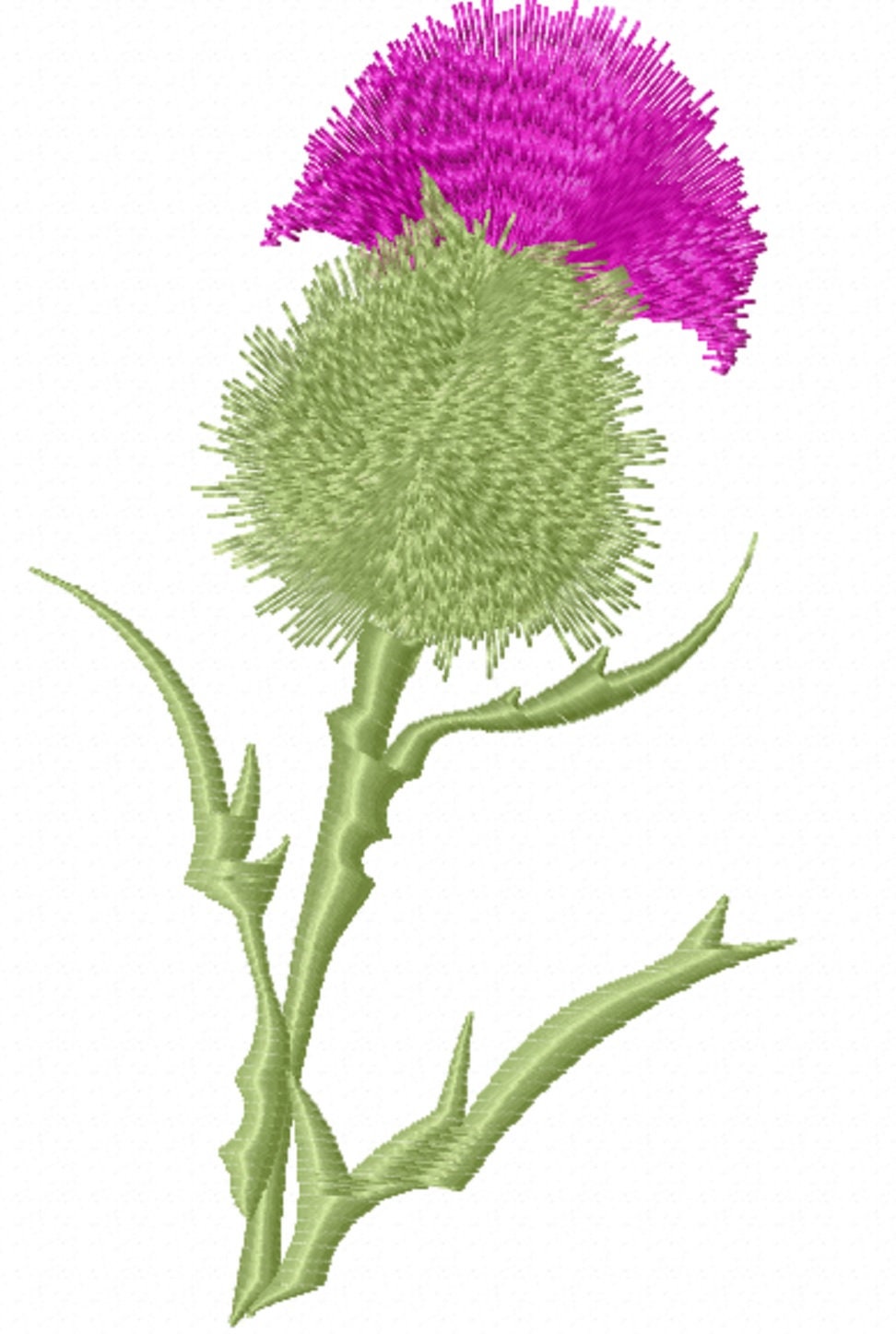 Thistle Floral Emblem Scotland / machine embroidery design/ | Etsy
