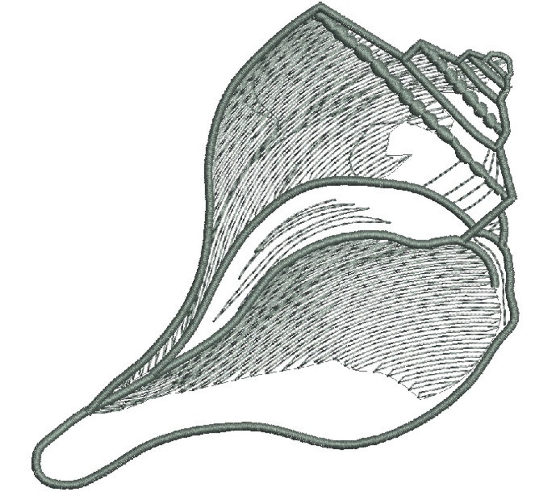 Shell Machine Embroidery Design - Etsy