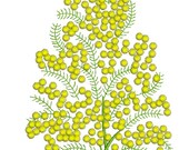 Mimosa Machine Embroidery Designs Instantly Download - Etsy