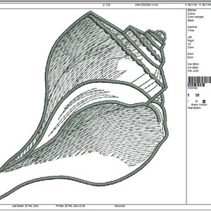 Shell Machine Embroidery Design - Etsy