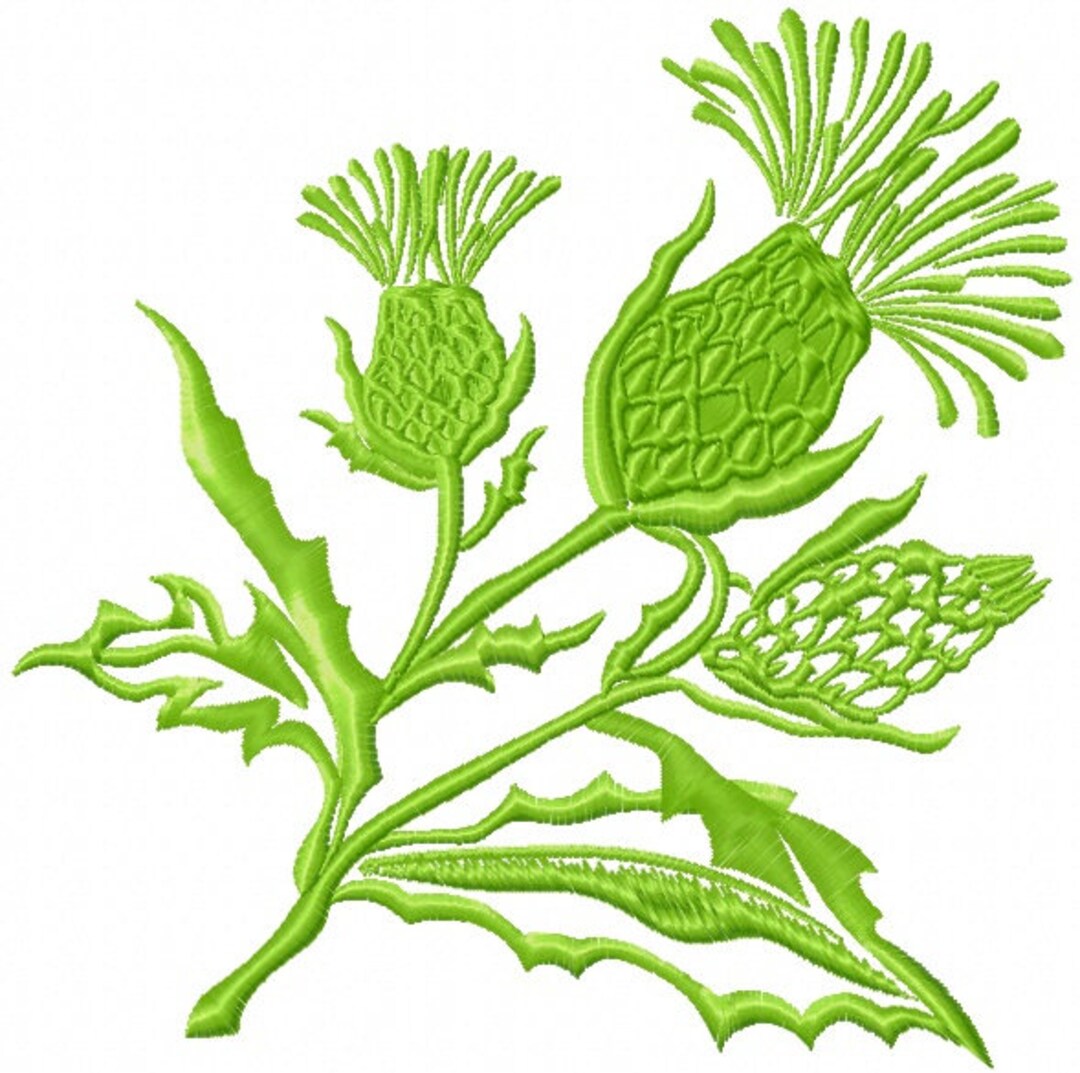Scottish Thistle Machine Embroidery Design - Etsy