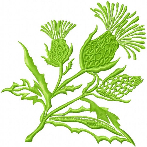 Thistle Embroidery Machine Embroidery Design - Etsy