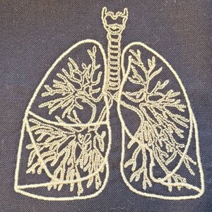Lungs Realistic the Respiratory System Machine Embroidery Designs ...
