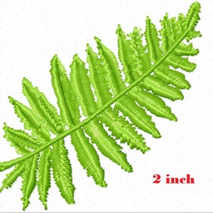 Fern Leaf Machine Embroidery Design - Instant Download - Etsy