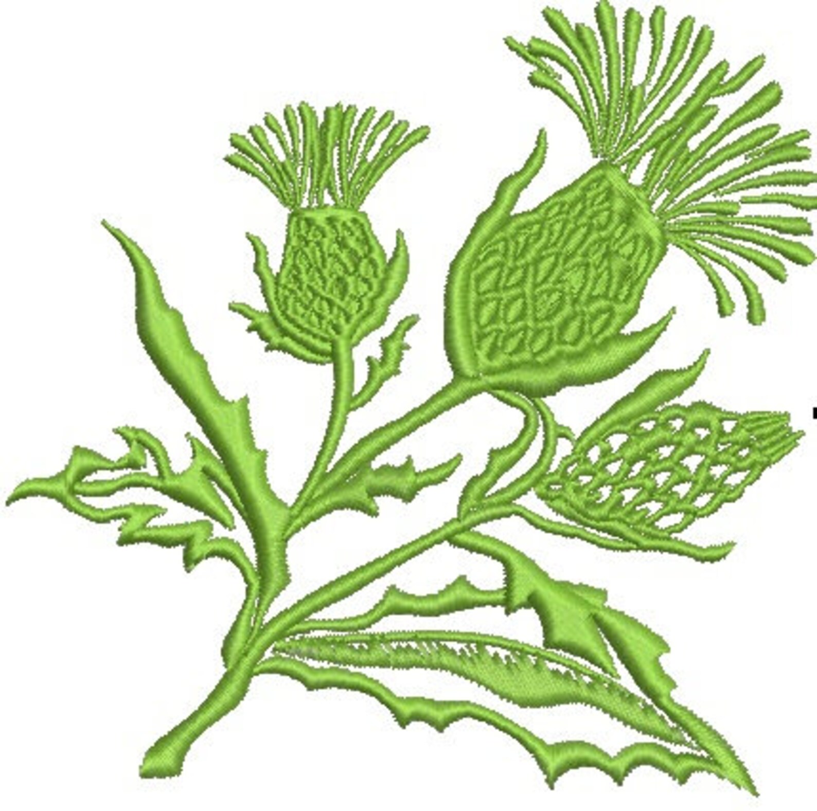Scottish Thistle Machine Embroidery Design - Etsy