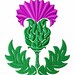 Thistle Floral Emblem Scotland / Scottish Thistle Machine Embroidery ...