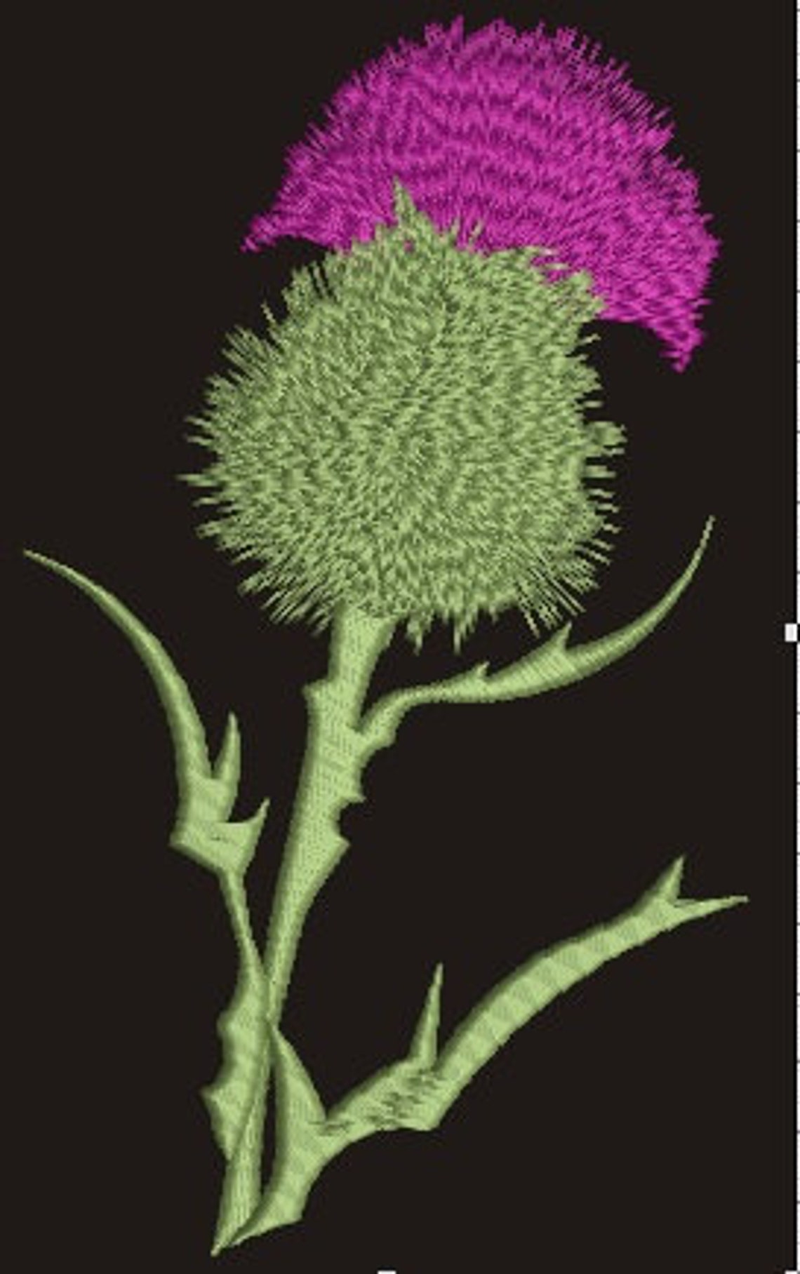 Thistle Floral Emblem Scotland / Machine Embroidery Design/ | Etsy