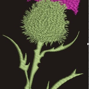 Thistle Floral Emblem Scotland / Machine Embroidery Design/ Letters Not ...