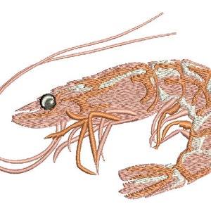 Shrimp Machine Embroidery Design, Shrimp Embroidery Pattern - Etsy