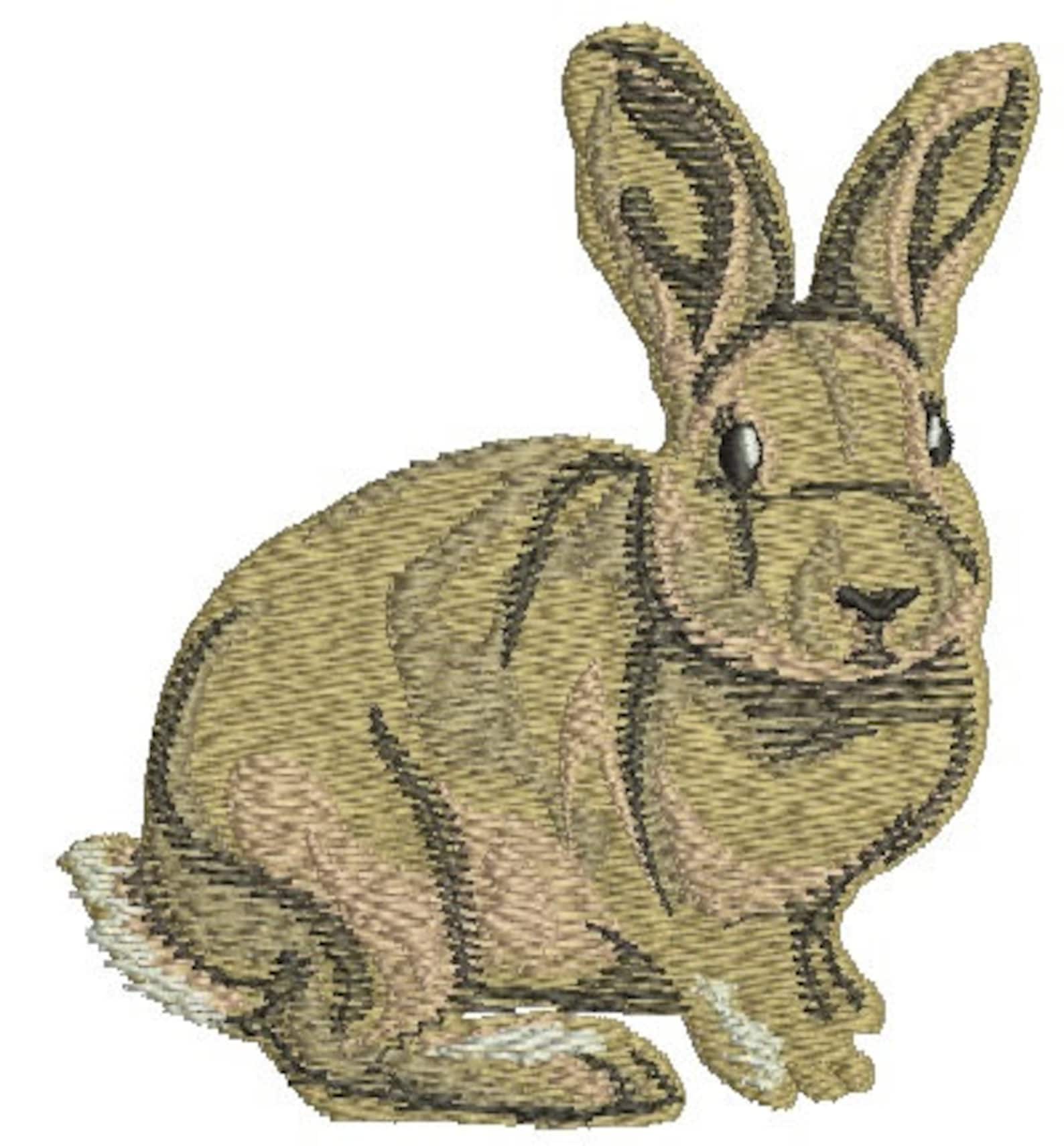 Easter Bunny Embroidery Rabbit Machine Embroidery Designs | Etsy