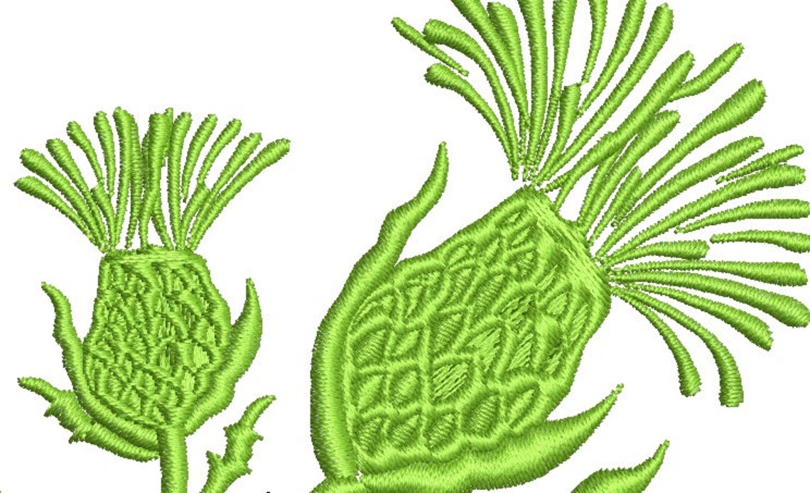 Scottish Thistle Machine Embroidery Design | Etsy