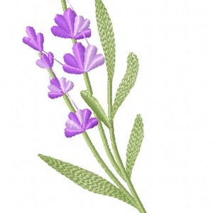 Lavender Machine Embroidery Design – Instant Download - Etsy
