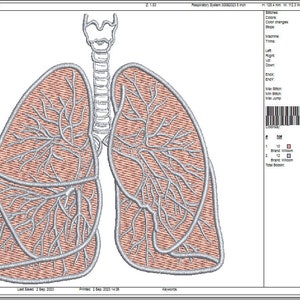 Lungs Realistic the Respiratory System Machine Embroidery Designs ...