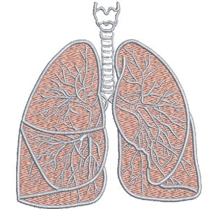Lungs Realistic the Respiratory System Machine Embroidery Designs ...