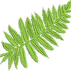 Fern Leaf Machine Embroidery Design - Instant Download - Etsy
