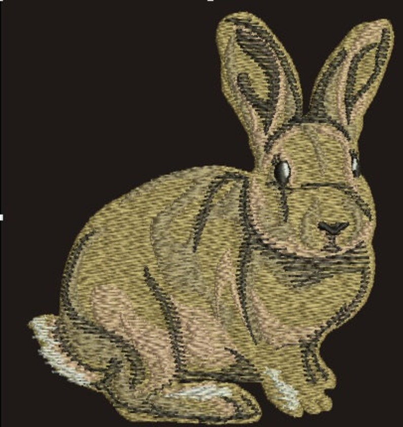 Easter Bunny Embroidery Rabbit Machine Embroidery Designs | Etsy