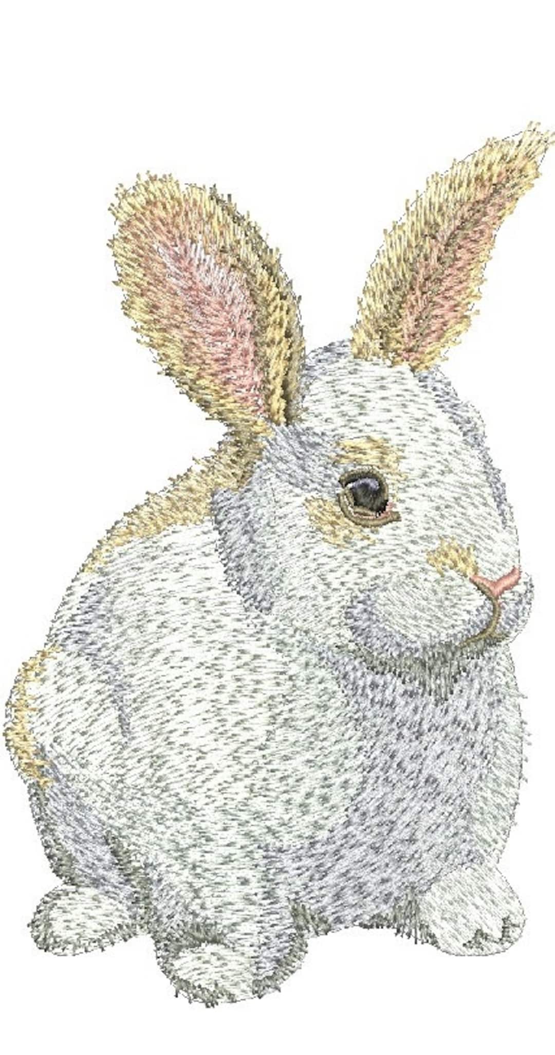 Rabbit Machine Embroidery Designs, Instantly Download - Etsy