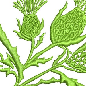 Scottish Thistle Machine Embroidery Design - Etsy