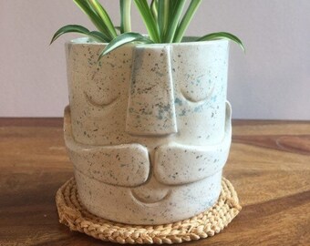 Planters & Pots Plant Accessories Home & Hobby Moustache Succulent ...