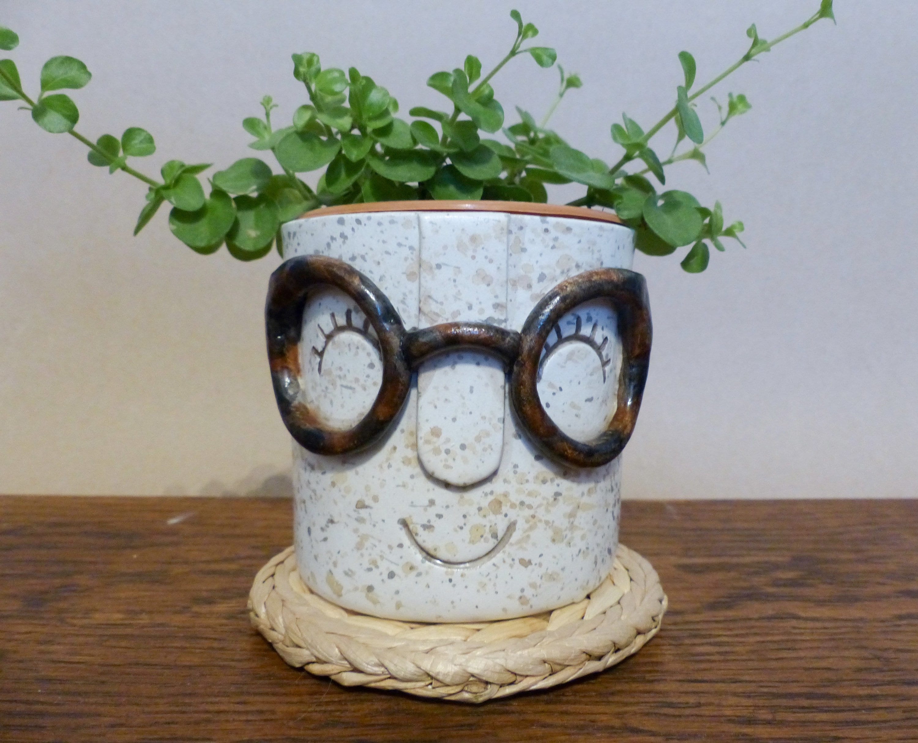 Face Plant Pot Bespoke Portrait Planter Handmade Custom Portrait Pot ...