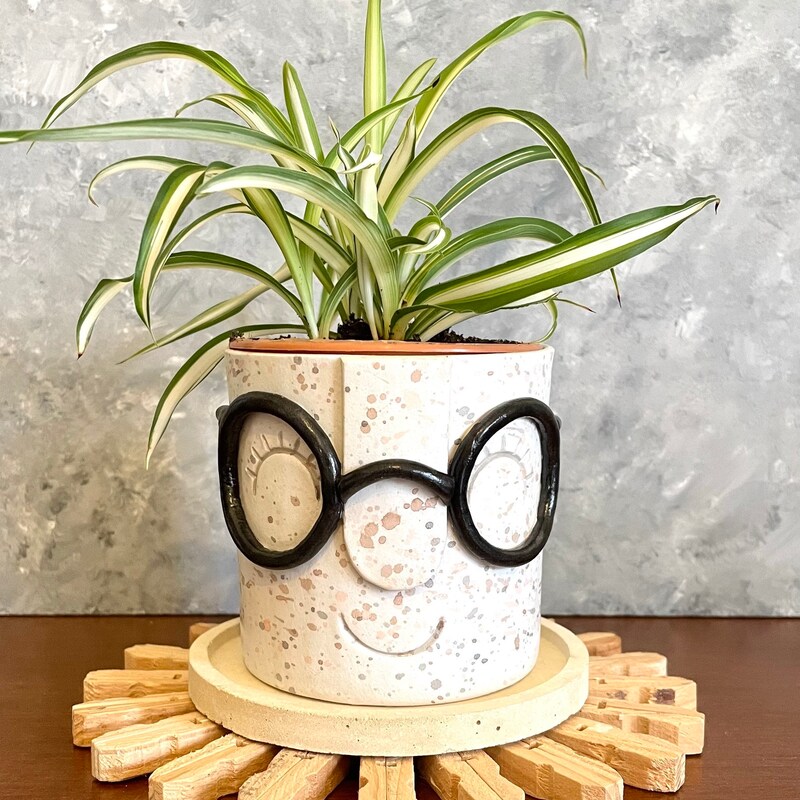 Face Plant Pot - Etsy