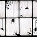 Spider Halloween Window Stickers, Spooky Season Decor, Creepy Scary ...