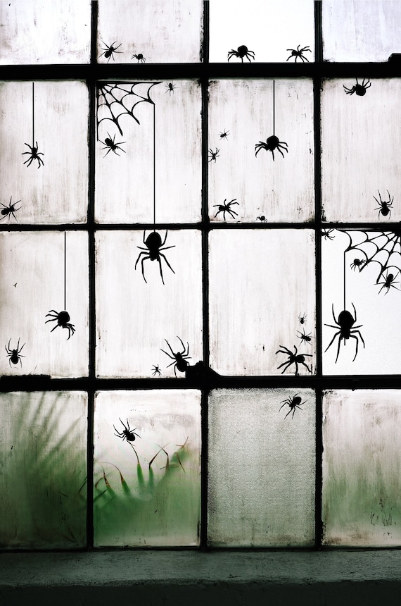 Halloween Window Silhouettes Spider