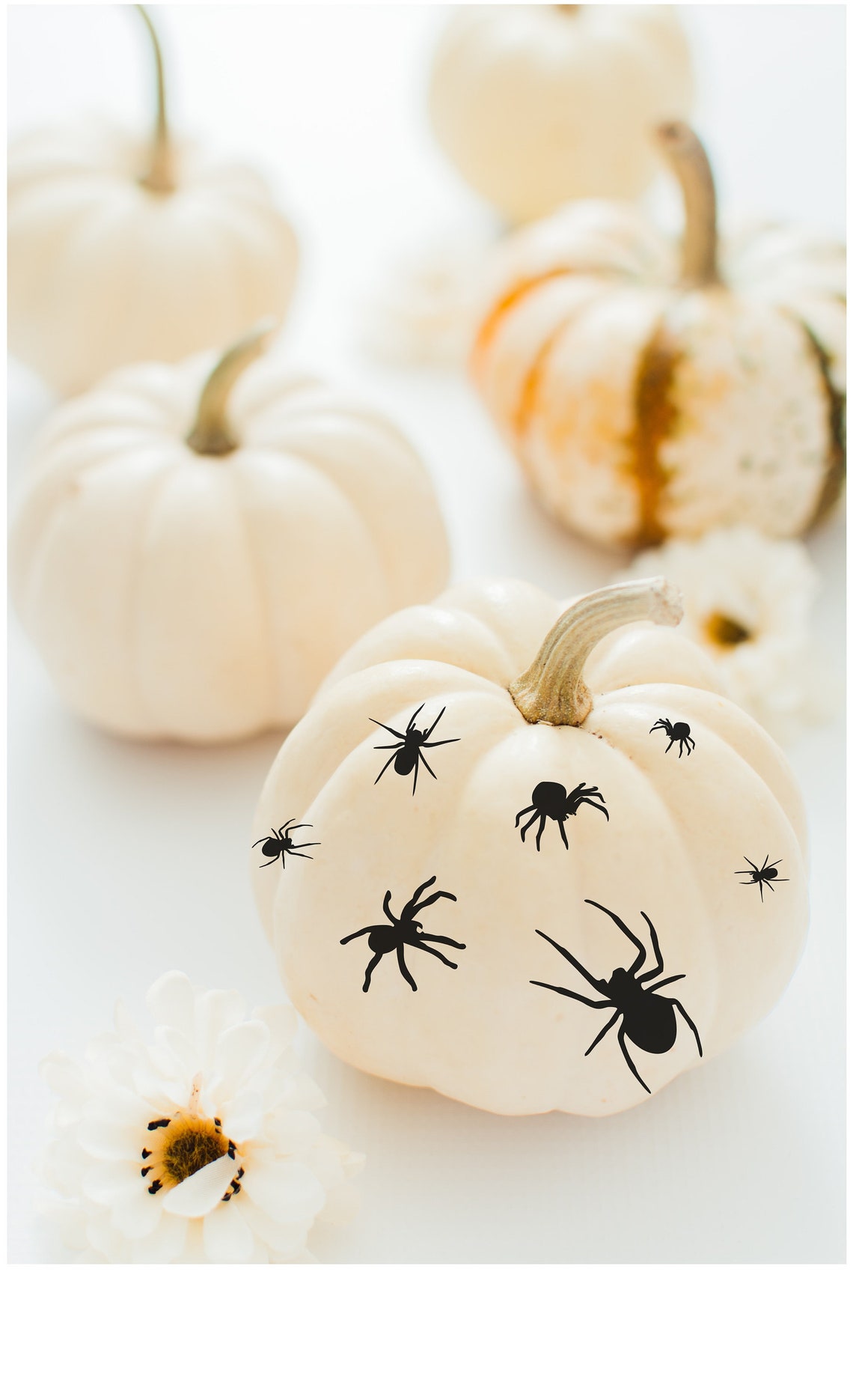 Spider Halloween Window Stickers Spooky Season Decor Creepy - Etsy