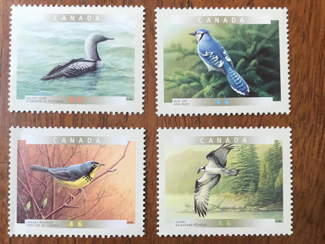 Canadian Bird Stamps: 2000 Pierre Leduc Art, Set of 4 Unused - Etsy