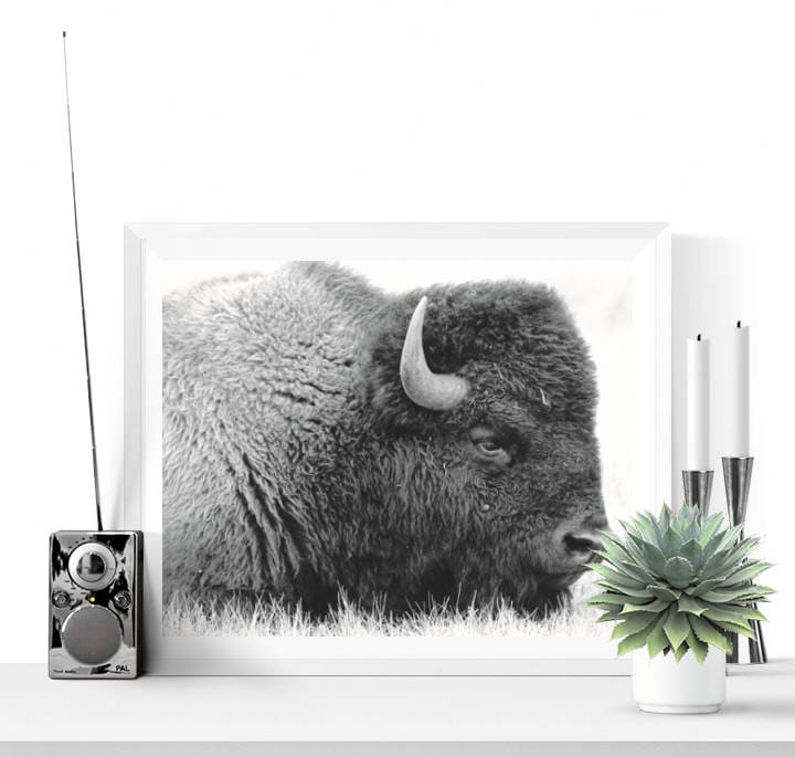 Buffalo Print Buffalo Photograph Printable Black and | Etsy